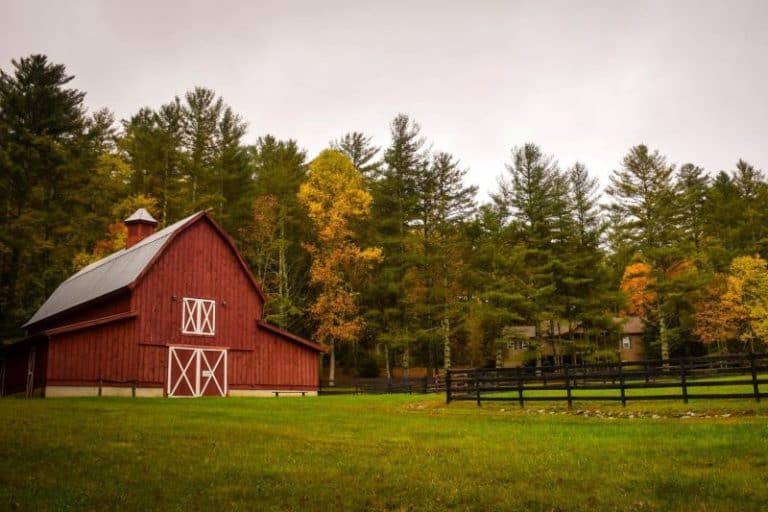 Best Cell Phone Signal Boosters for Rural Areas | weBoost